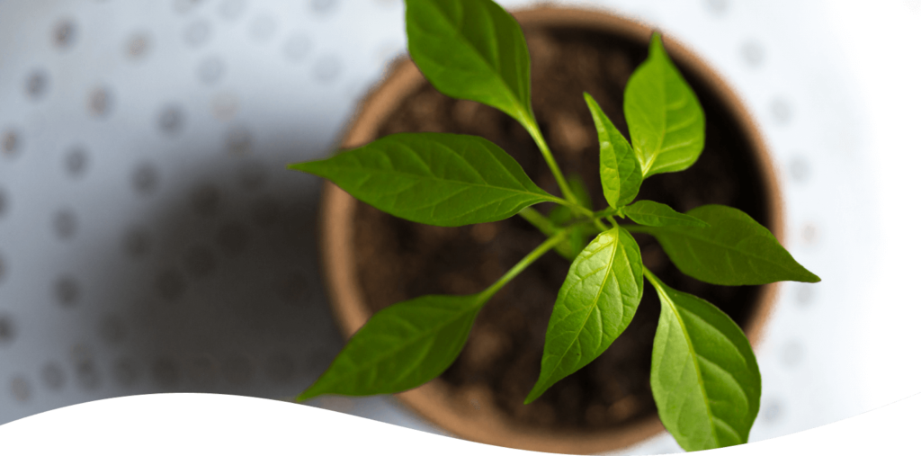 C-Crete Technologies – Building technological paradigm shifts of the future